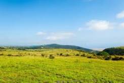 FANJET EXPRESS